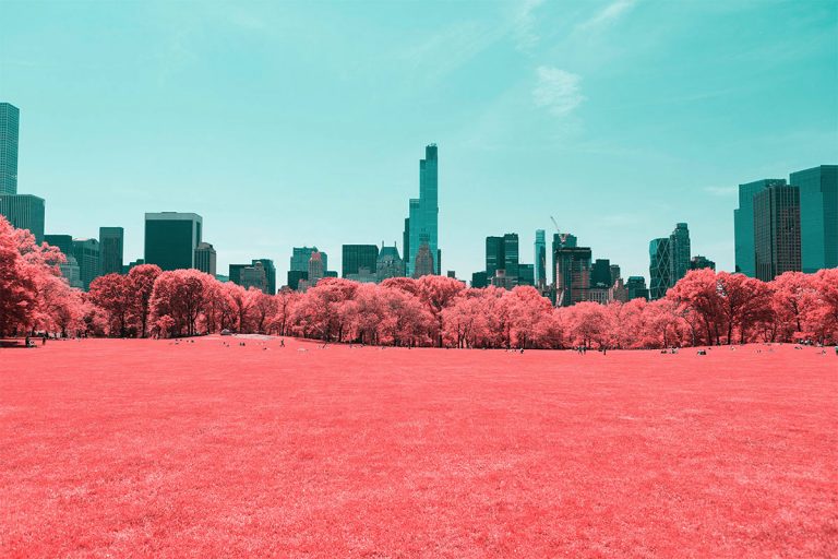 66 Breathtaking Examples of Infrared Photography with Surreal Colours