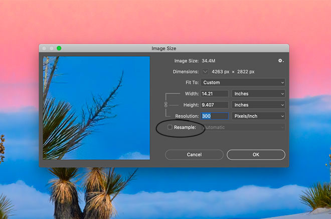 How To Resize An Image In Photoshop and When You Should Resample Instead LaptrinhX