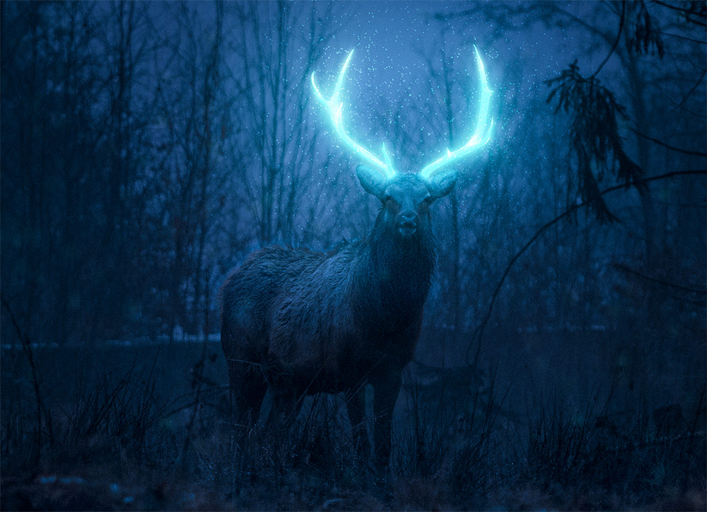How To Create A Glowing Effect In Adobe Photoshop